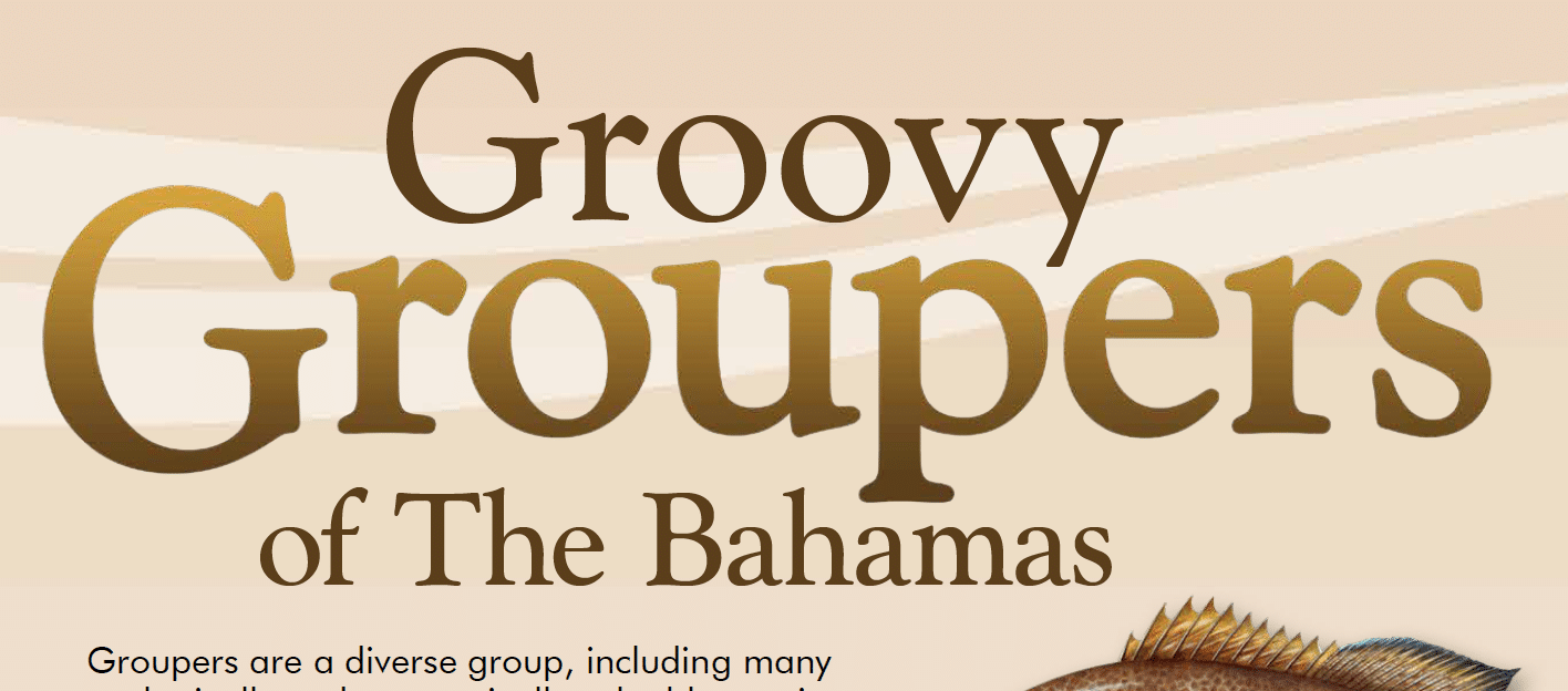 Community Engagement - Perry Institute for Marine Science