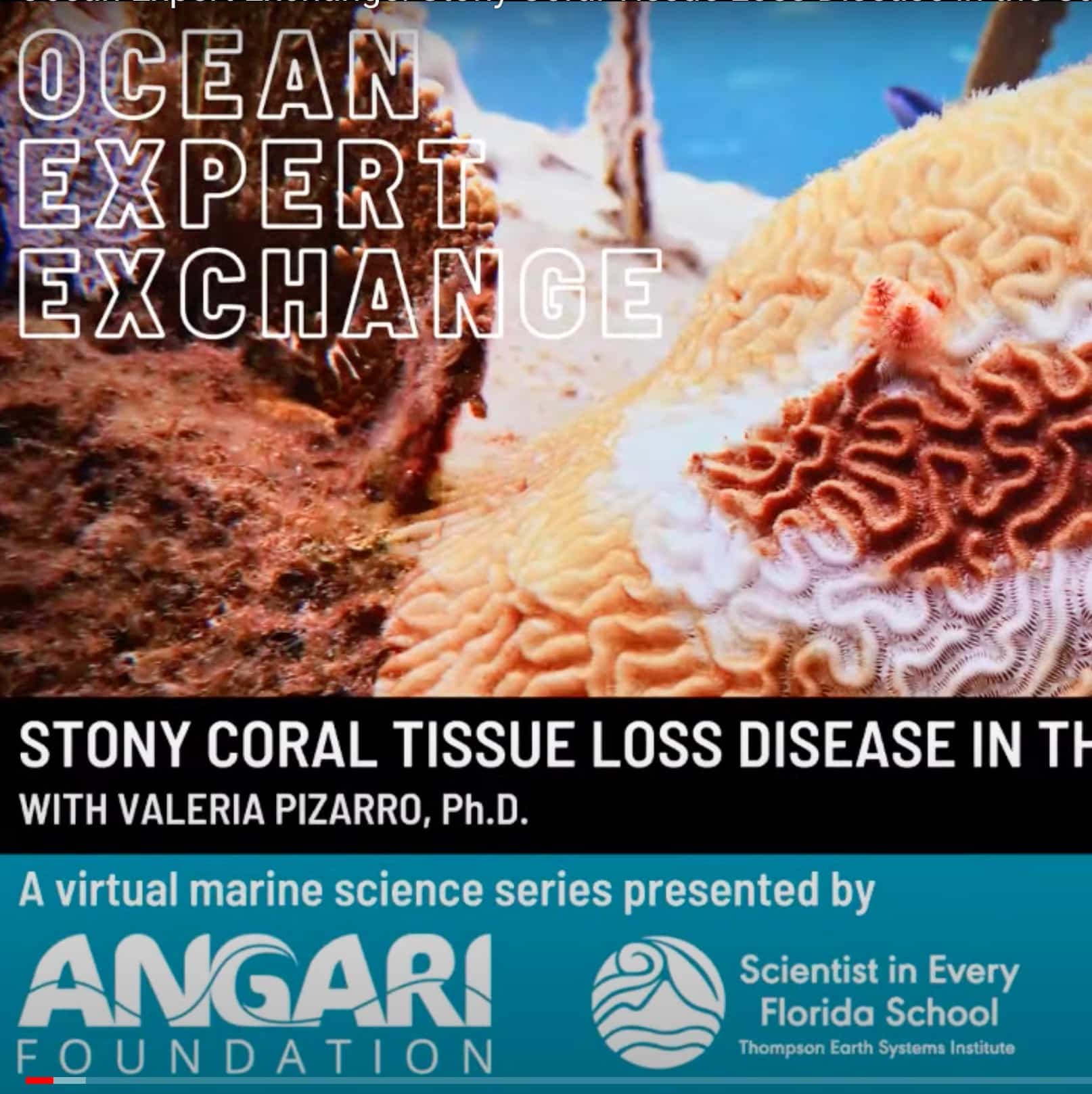 Community Engagement - Perry Institute for Marine Science