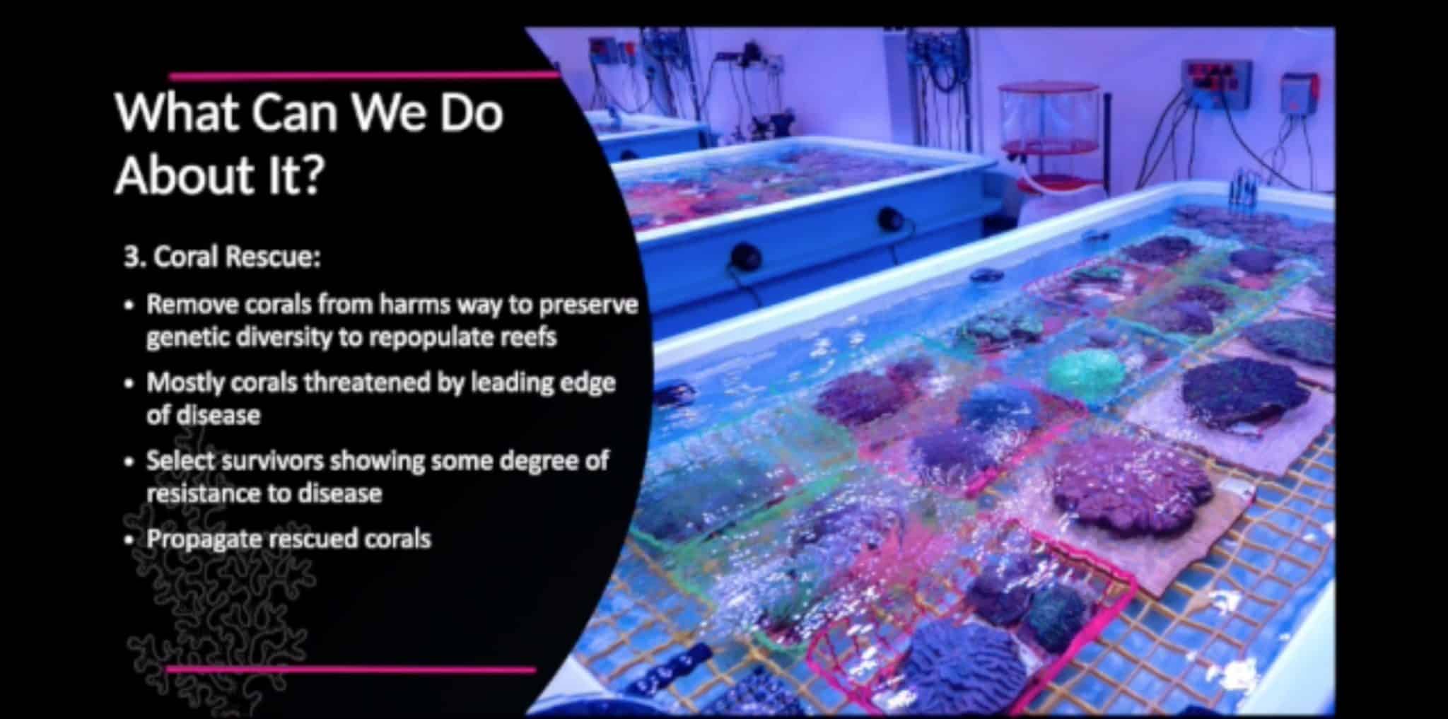 Community Engagement - Perry Institute for Marine Science