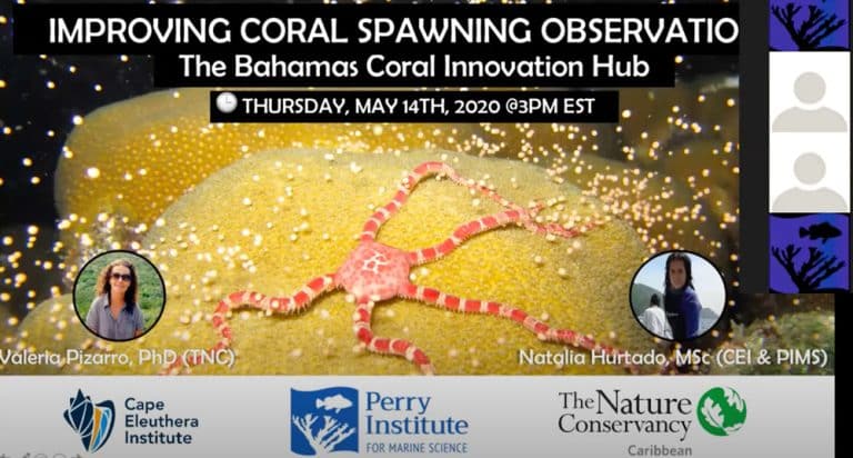 Community Engagement - Perry Institute for Marine Science