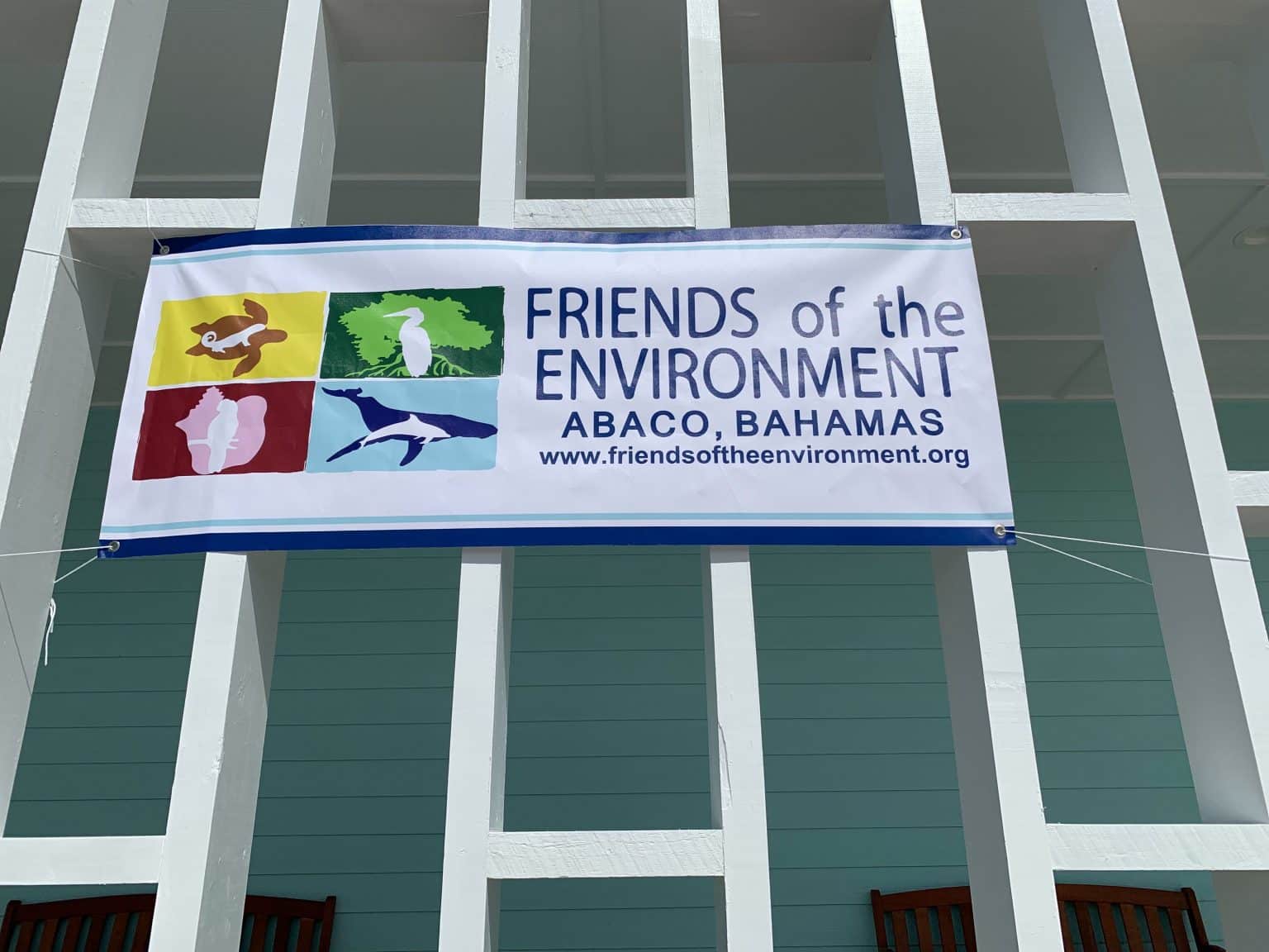 Building Back Better: The Heartwarming Comeback of Friends of the ...