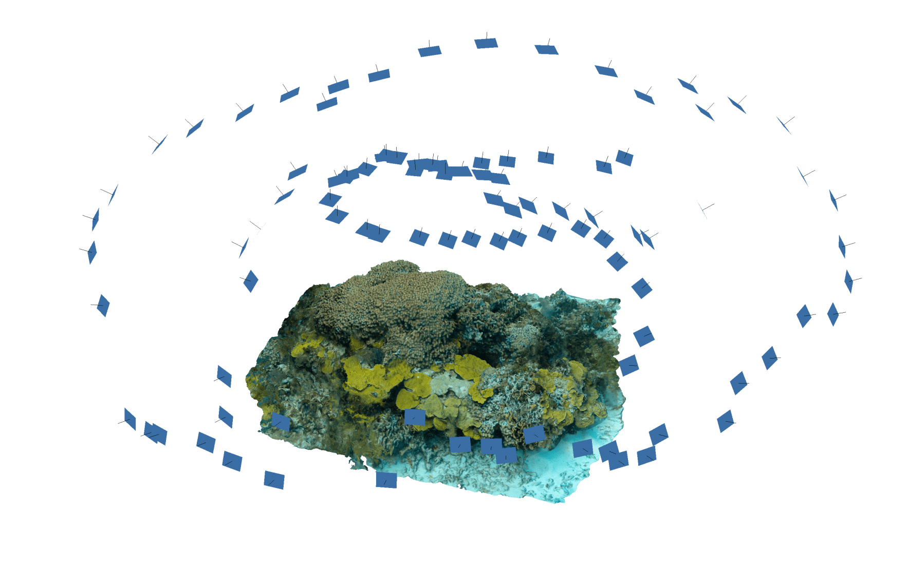 Photogrammetry: A New Tool To Practice Coral ID